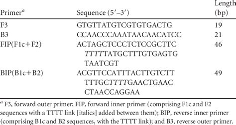 Sequence Of Primers For Lamp Reaction Download Table