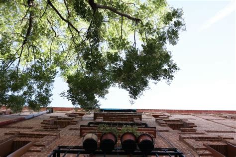 Musawar Ahmad On Linkedin 10 Simple Steps To Start Living Sustainably