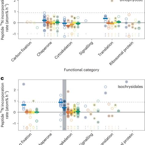Proteome Allocation By Pelagibacter And Eukaryotic Phytoplankton A ¹⁵n