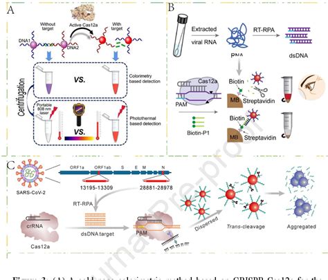 Table 1 From Crispr Cas12a Based Technology A Powerful Tool For