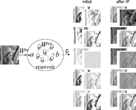 figure 1 from reservoir computing approach for gray images segmentation