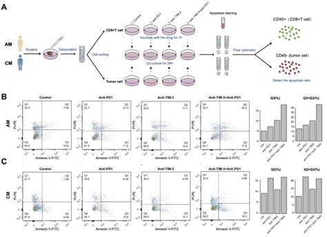 Nat Commun｜天津医科大学杨吉龙团队应用单细胞转录组分析揭示肢端型黑色素瘤肿瘤细胞异质性和免疫环境特征 知乎