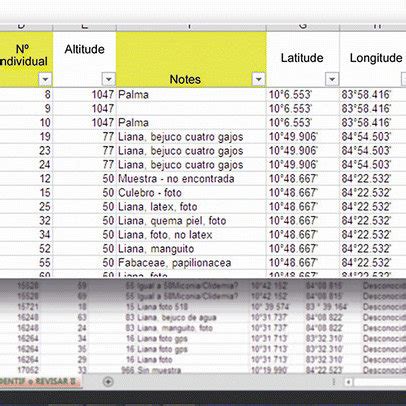 PDF Tree Species Identification In The Tropics