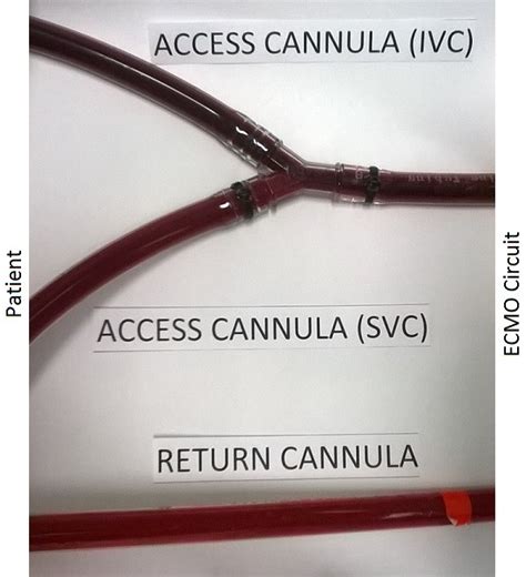 Go With The Flow Intensive