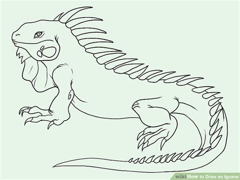 Iguana Cartoon Drawing At Getdrawings Free Download