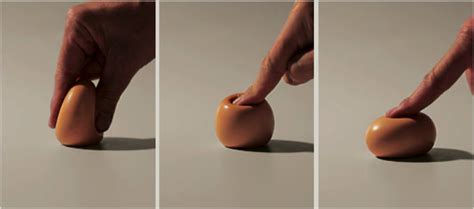 Egg With Dissolved Shell Rpics