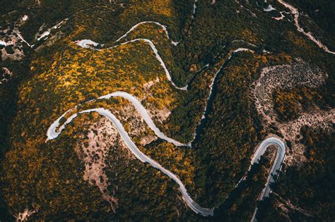 Maomaonotes毛毛笔记