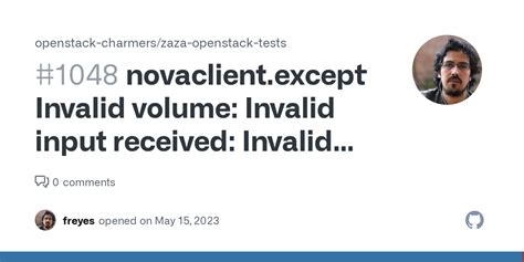 Novaclientexceptionsbadrequest Invalid Volume Invalid Input
