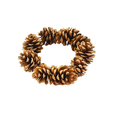 Pine Cone Wreath Premium Ai Generated Psd