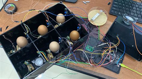 alat deteksi 6 telur bagus jelek arduino thingspeak iot output