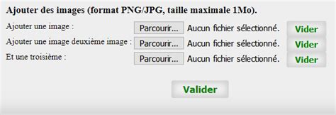Personnaliser Les Input File Css