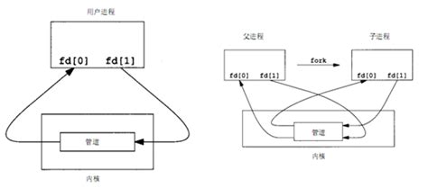 linux系统编程之管道一匿名管道pipe mickole 博客园
