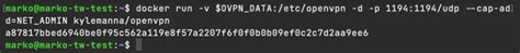 how to install openvpn on docker {7 steps} phoenixnap kb
