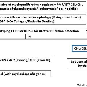 Algorithm For Molecular Testing In PV Download Scientific Diagram