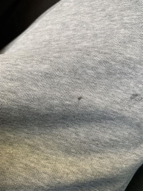 Very Tiny Gnat Like Bugs All Over Everything In My Yard R Whatsthisbug