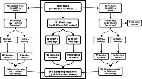 Schematic Overview Of Study Design Download Scientific Diagram