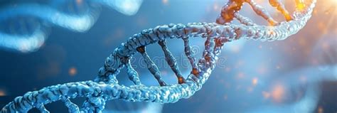 Genetic Blueprint Stock Illustrations 709 Genetic Blueprint Stock