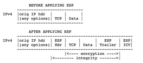 Esp协议详解 Csdn博客