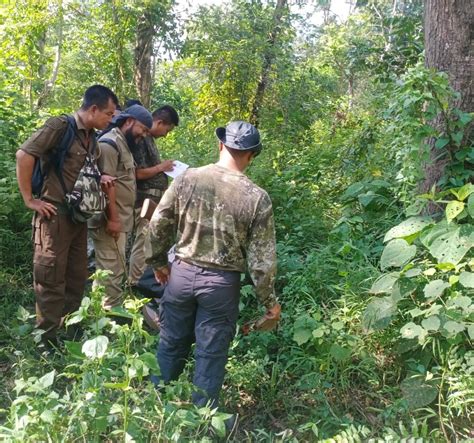 review moots increased patrolling coverage in raimona national park