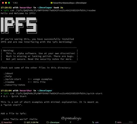 Ipfs 本地节点搭建（命令行） 区块链入门指南
