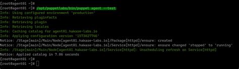How To Setup Puppet Master And Agent On Centos 8