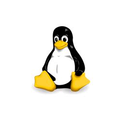 Best SSD Linux VPS Hosting UK Linux SSD SSD Virtual Servers