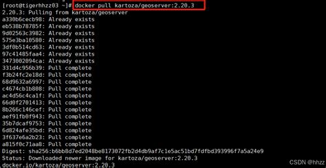 Linux系统使用docker部署geoserver并做数据挂载进行地图服务的发布和游览geoserver Docker Csdn博客