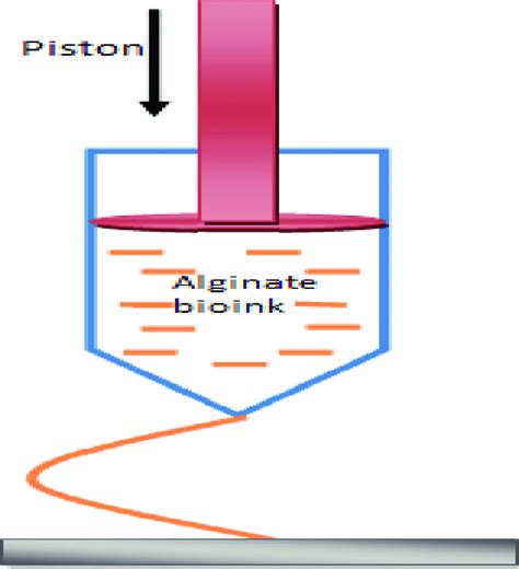 Extrusion Based 3d Bioprinting Process Download Scientific Diagram