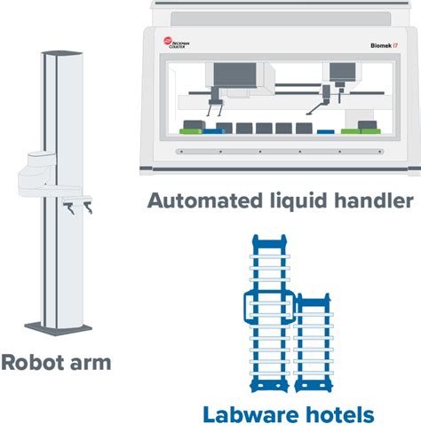 Quest Ce Quun Plasmide Le Clonage Moléculaire La Thérapie Génique