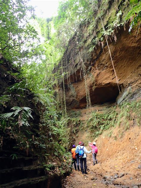 苗栗龍王峽谷 功維敍彩紅隧道 三灣落羽松 健行筆記