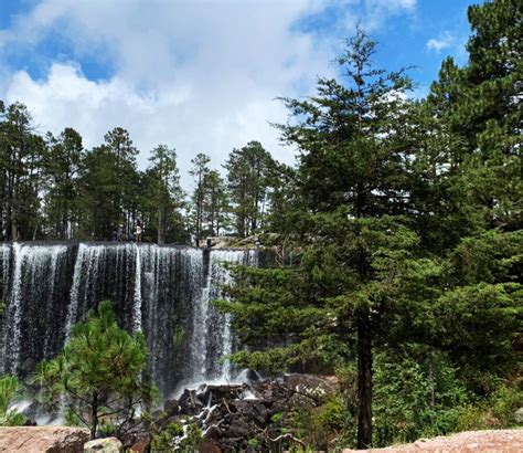 Mexiquillo Durango Cuando La Nieve Transforma La Sierra En Una