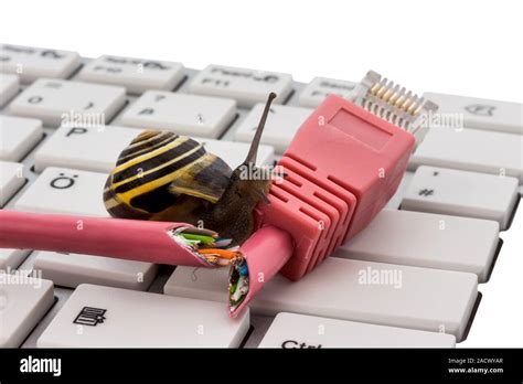 Slow Internet Access Stock Photo Alamy