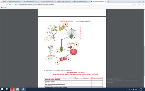 Урок біології в 6 класі Практична робота №3 Порівняння будови мохів папоротей та