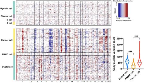Copy Number Variation Profiles Of Ductal Adjacent Nonmalignant And Download Scientific
