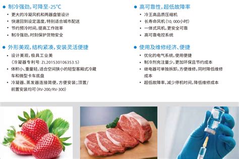 冷王rv系列冷藏车机组 上海穗飞制冷科技有限公司