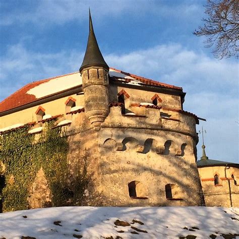 Marlene Bitzer On Instagram “marlenes Choice Today