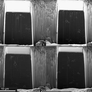 FIB SEM Dual Beam Components And Sample Position For FIB SEM Tomography Download Scientific