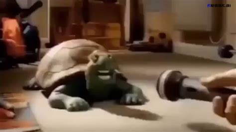 2050 Hombres Le Comieron El Culo A Carlinhos Rbeelcitosmemes
