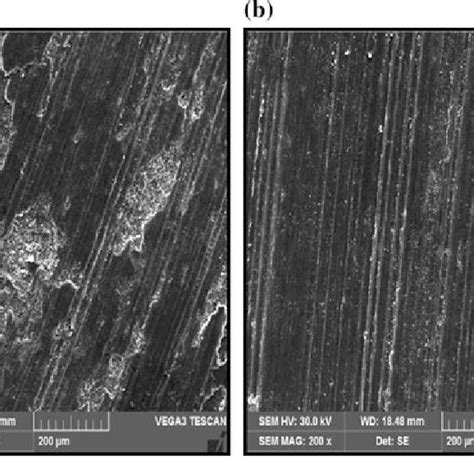 Worn Surface Of Morphology Of Aa6351 Alloy And Aa6351 20 Al 2 O 3 3 Gr Download Scientific