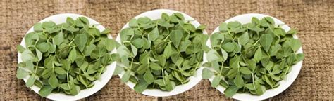 Ingredient Spotlight Fenugreek Macabido