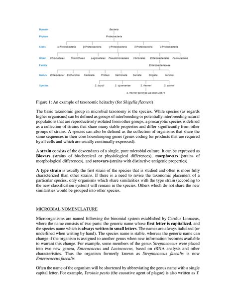 Solution Mcb 202 Taxonomic Classification Of Bacteria 2018 2019
