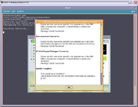 Step 4b Set Up The Environment Websphere Information Integrator