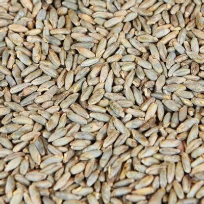 Солод Rye Malt (Castle Malting) 0,25 кг - SOLODOK