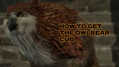 Bg3 How To Get Owlbear Cub And Location Info
