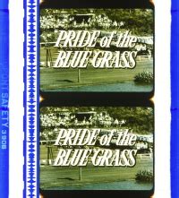 Pride Of The Blue Grass 1953 Timeline Of Historical Colors In