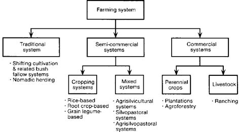 What Are 4 Types Of Agriculture Leia Aqui What Is The Main Type Of