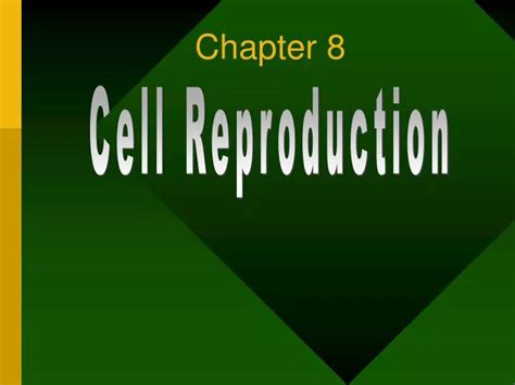 ppt chapter 8 powerpoint presentation free download id 4087928