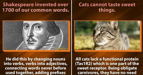 15 Kiss The Pythons Facts