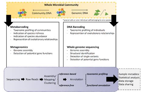 Figure 2 From A Beginners Guide On Integrating Omics Approaches To