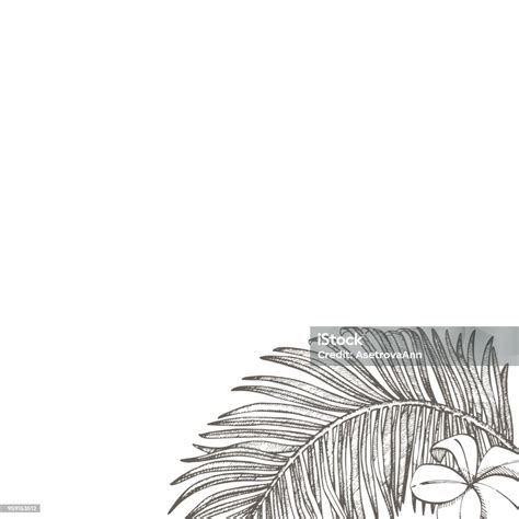 여름 열 대 나뭇잎 벡터 디자인 꽃 배경 그림입니다 초대 또는 카드 디자인 정글 단풍 0명에 대한 스톡 벡터 아트 및 기타 이미지 0명 계절 드로잉 Istock